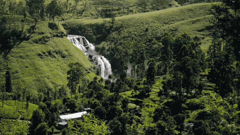 Ella Odyssey Train Booking | Scenic Ride Sri Lanka