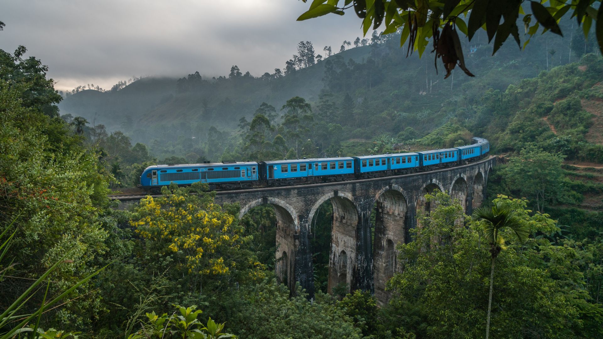 How to Choose the Best Seats on the Ella Odyssey Train - Ella Odyssey